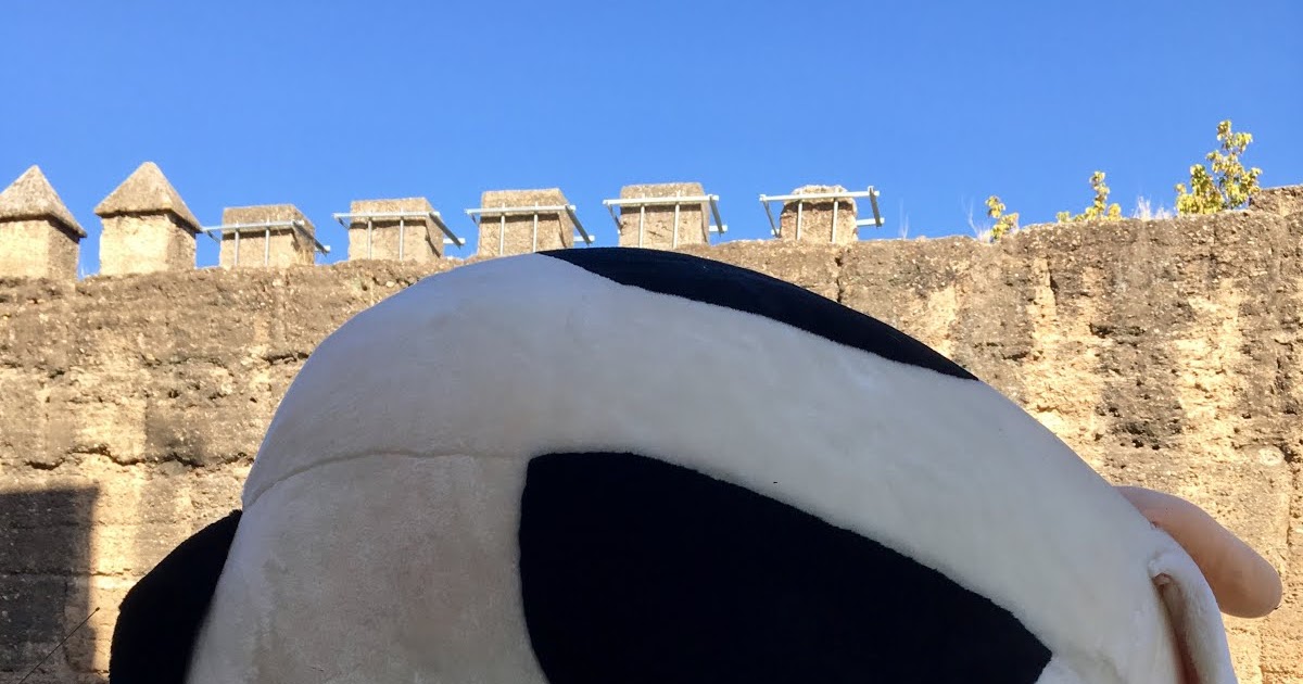 Vaca sin lactosa y muralla con brackets