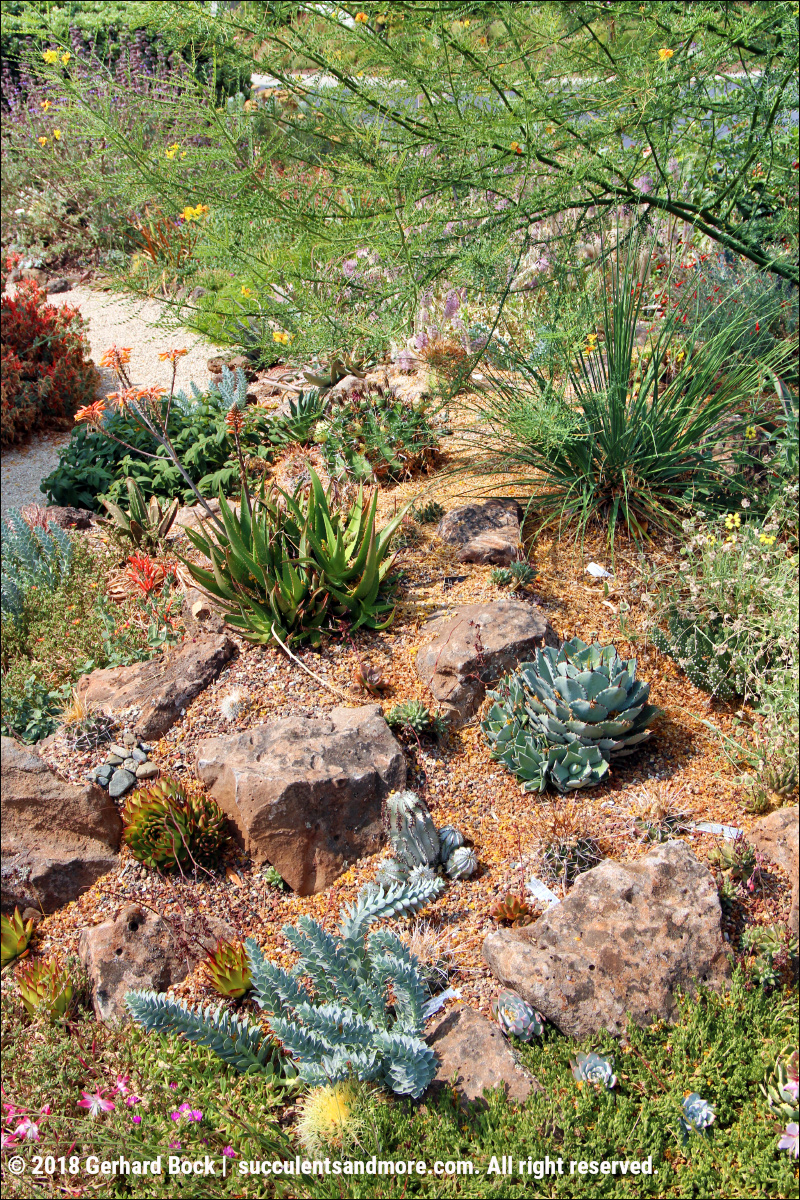 Around the world on 6,000 sq.ft.: Brian's miniature botanical garden