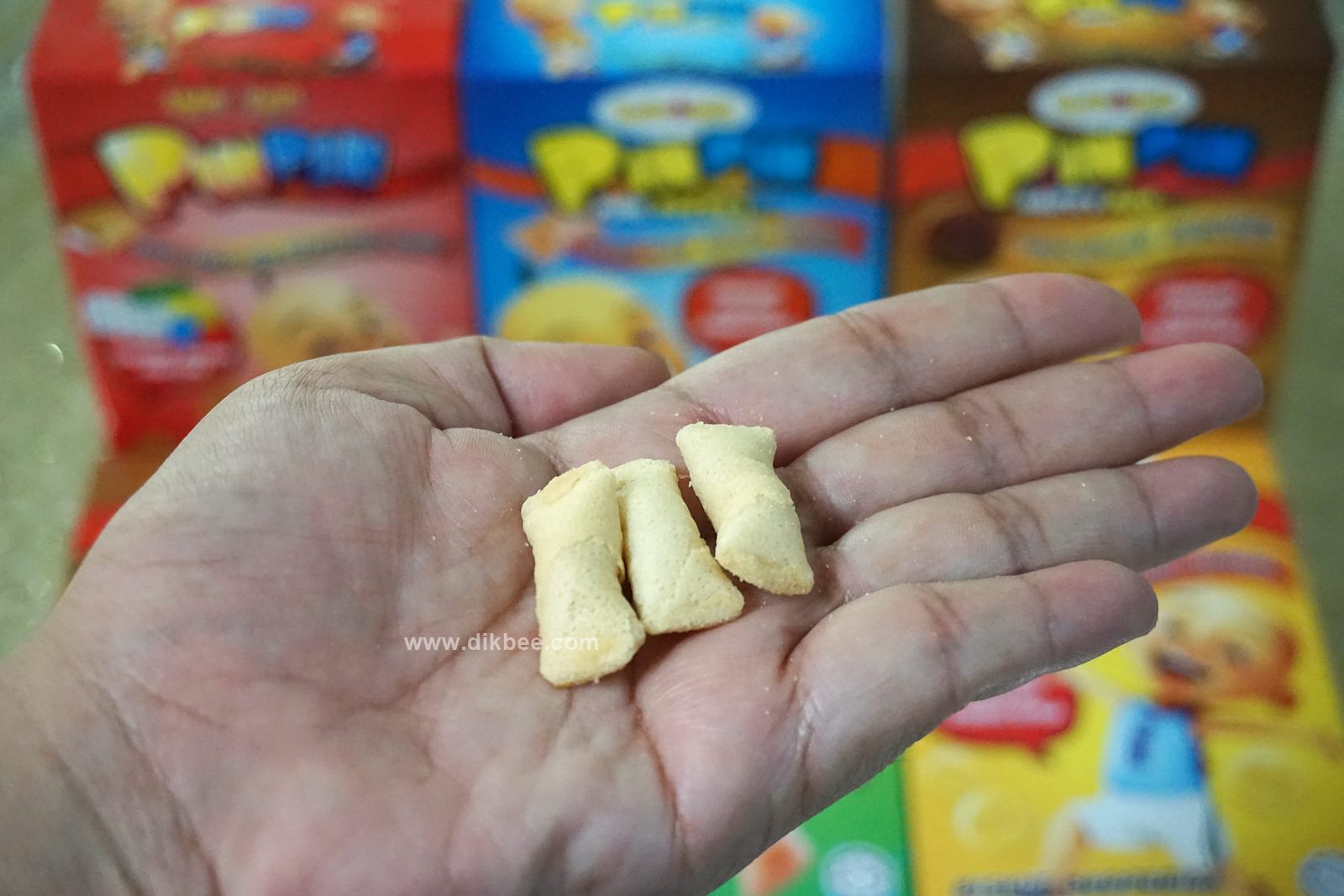 BISKUT PINPIN : 6 PERISA YANG SEDAP DAN MENARIK