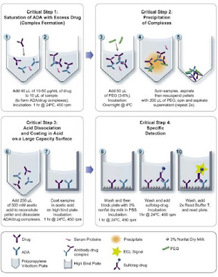 Drug Interference/Tolerance in Anti-drug antibodies detection assays ...
