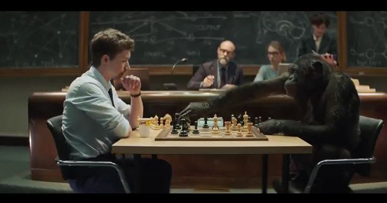 GoldenBackstage: Partita a scacchi con la scimmia con tutto il gusto ...