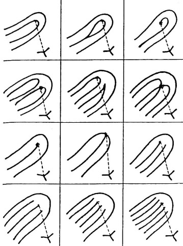 Introducción al Sistema Dactiloscópico Argentino