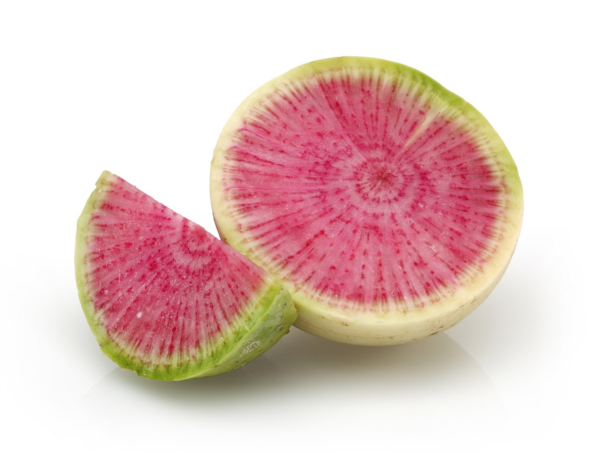 Real World Gardener: Grains of Paradise with Radishes