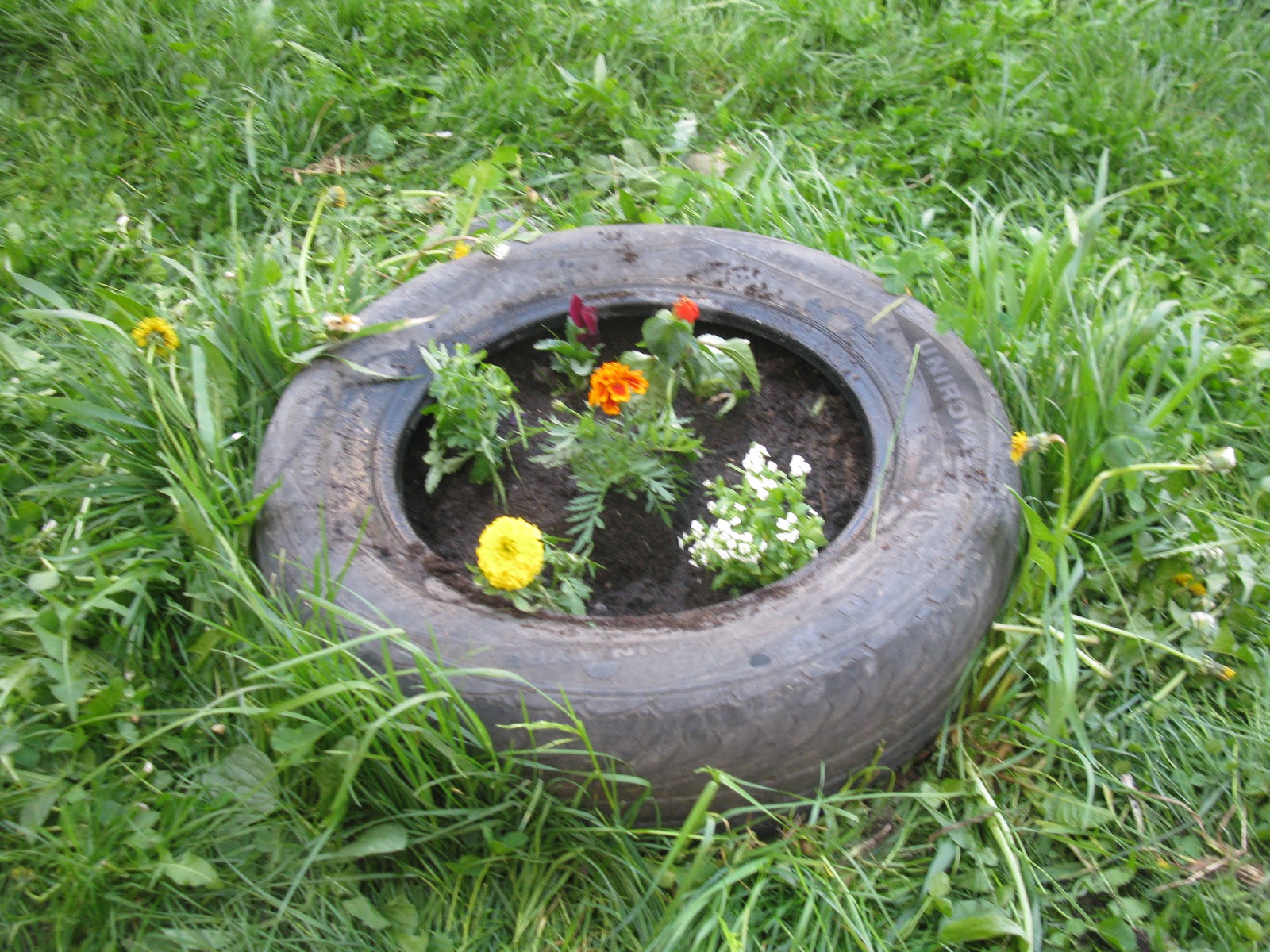 CLASA MEA: Proiecte educationale