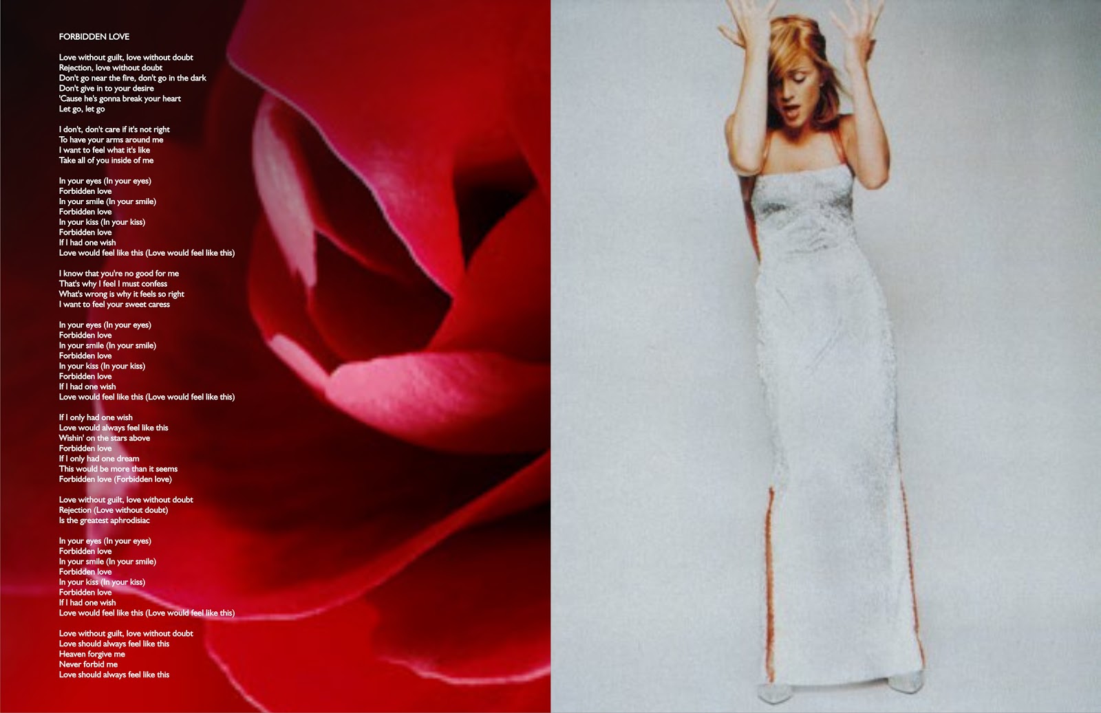 Madonna FanMade Covers: Something to Remember - Special Edition Booklet