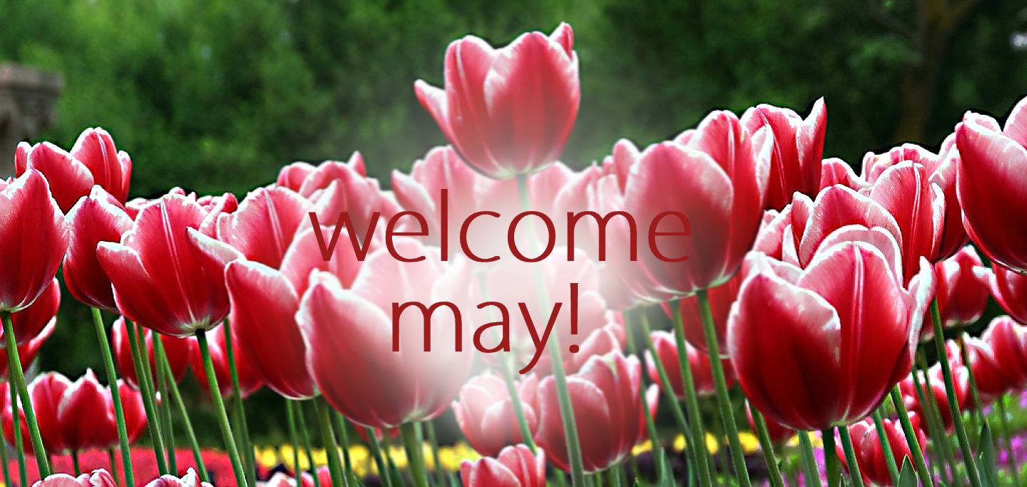 El Blog de AmarettO: welcome may!