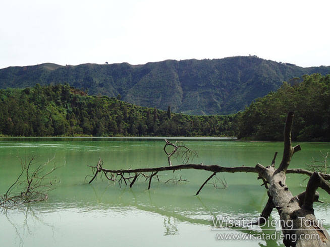 Telaga Warna Dieng ~ PAKET WISATA DIENG TOUR