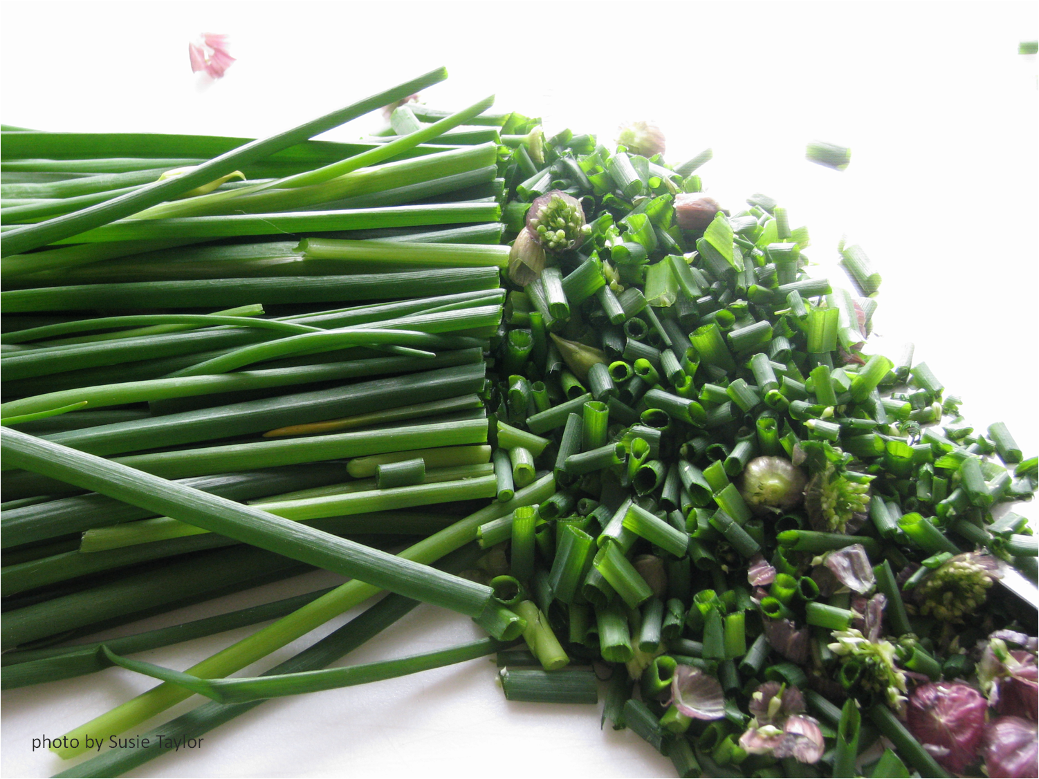 The Moose Curry Experience: Abundance-of-Chives Pancakes