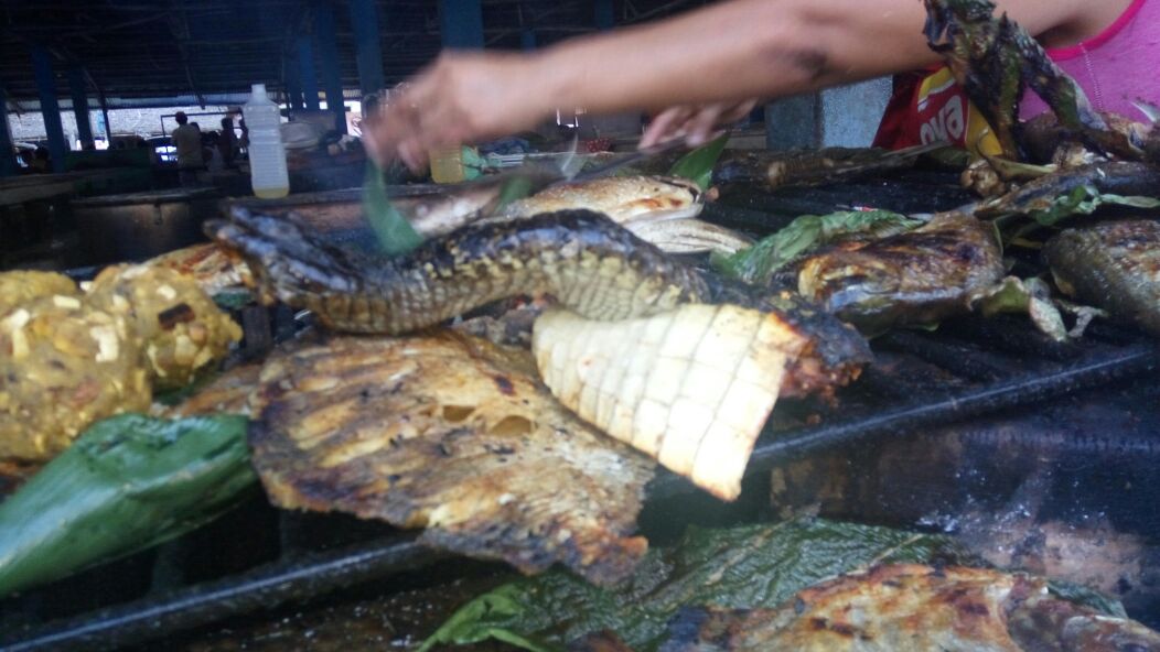 Conociendo Sudamerica: Atravesando el río Amazonas Perú