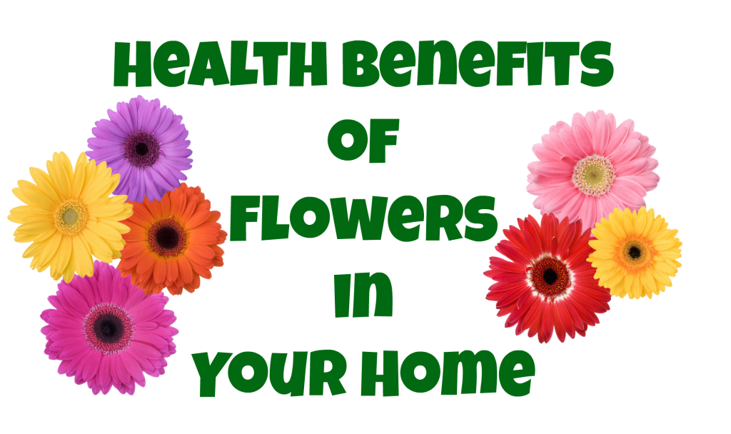 Here are wonderful flowers with health and beauty benefits
