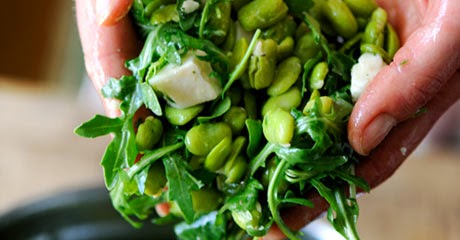 HOW TO GROW THE AUTUMN BROAD BEAN ‘Aquadulce Claudia’ |The Garden of Eaden