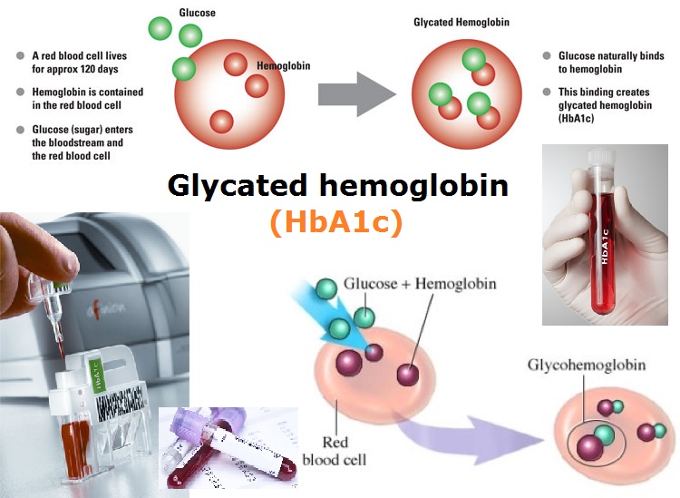 Figure 1. Glycated hemoglobin (HbA1c) explained