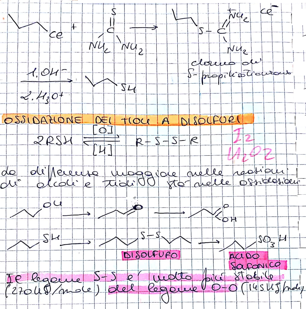 Chimico nato: I tioli