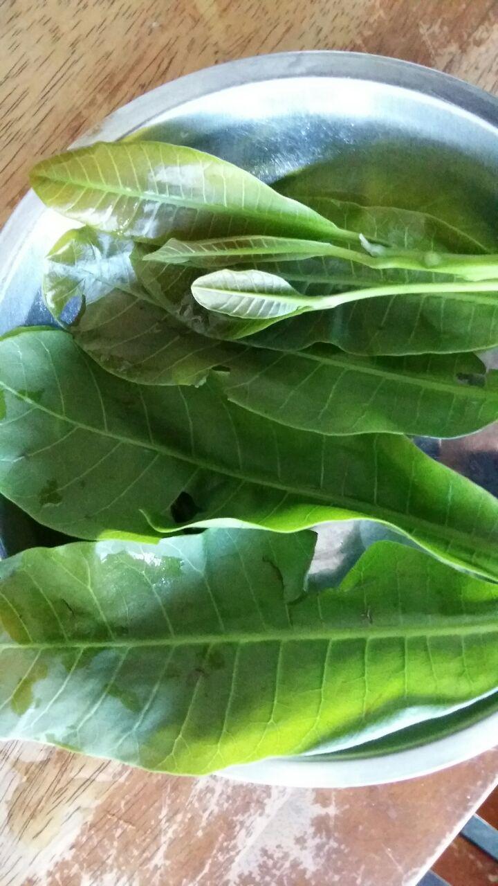 我学.我思.我写: 香草饭（nasi ulam)