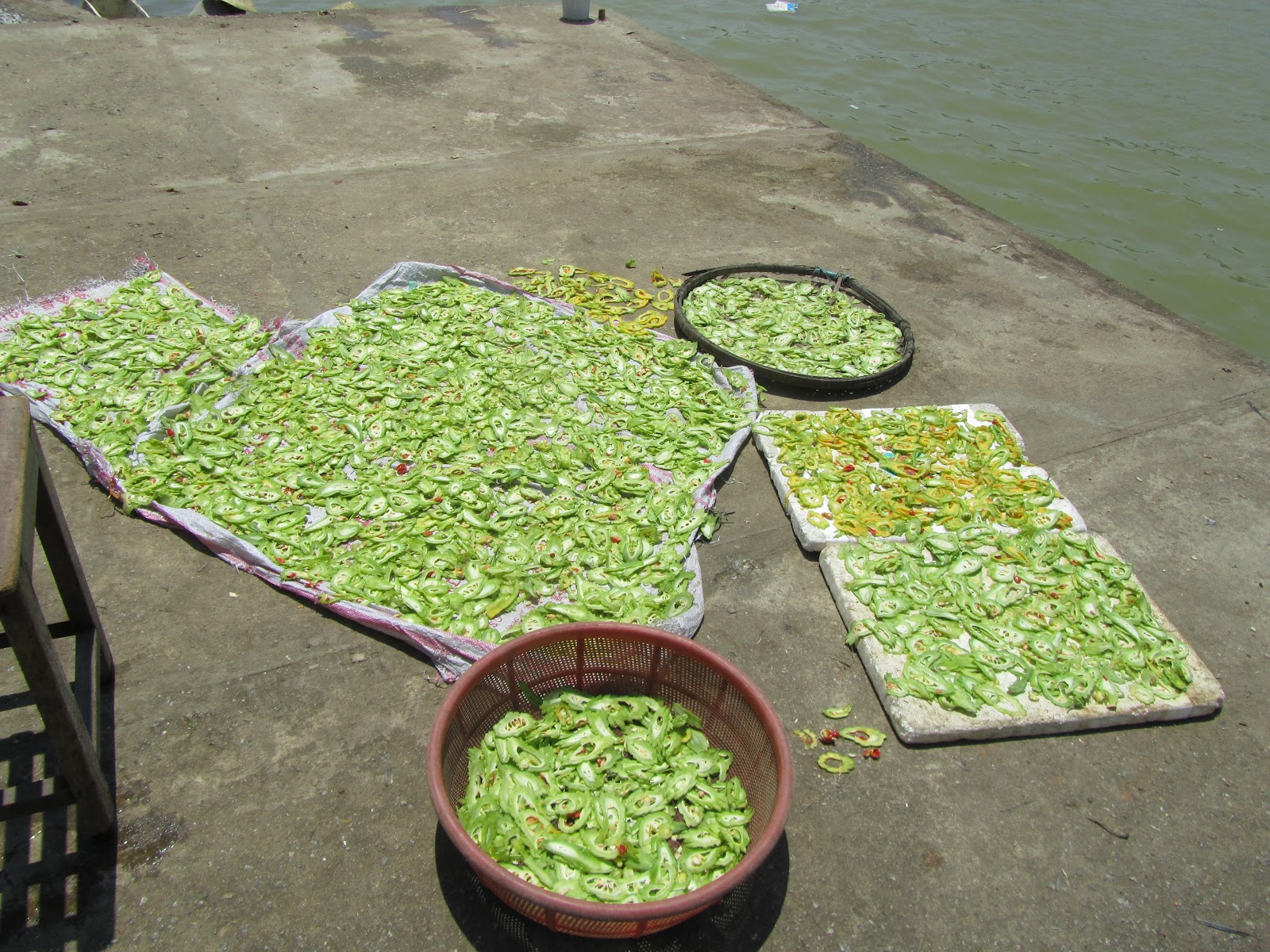 The Adventures of Laura Drumm