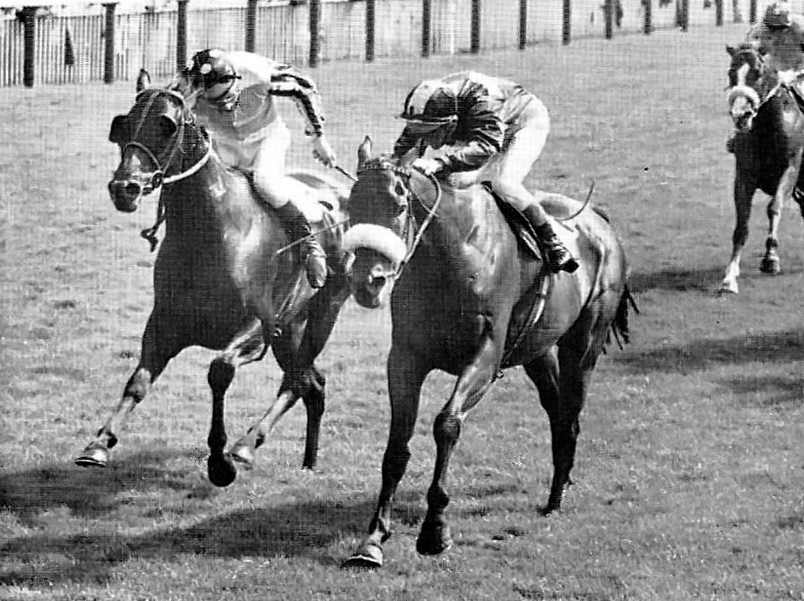 The Apprentice Jockey: Rewind to 1970