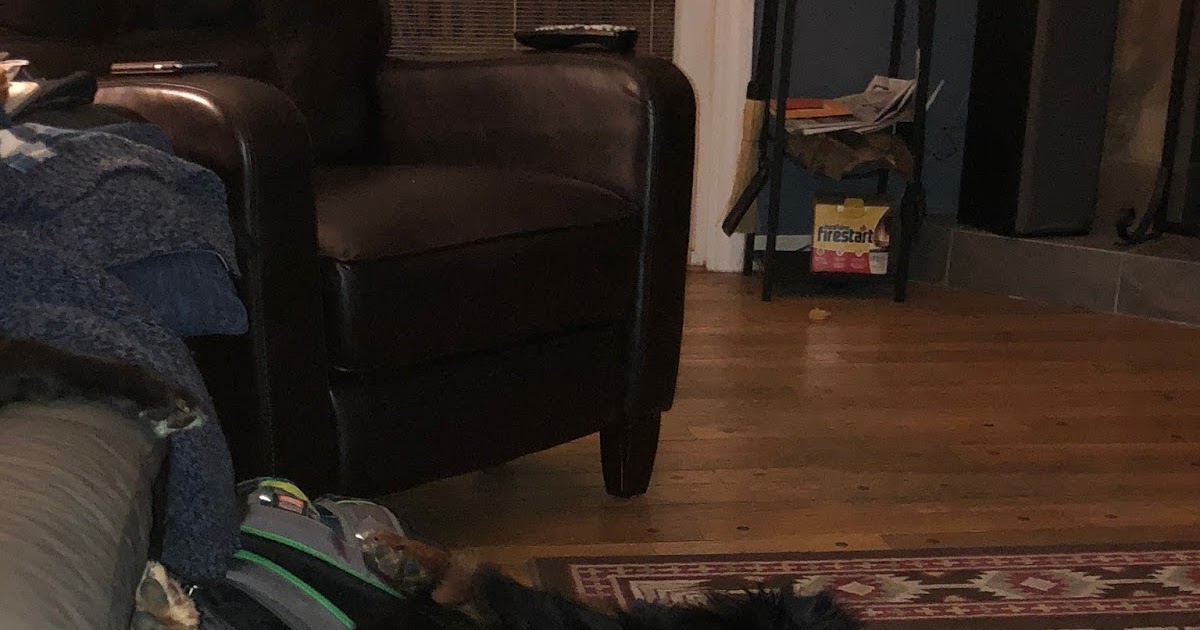 Poems, Psalms, and Prayers: The Little Dog's Rhapsody in the Night ...