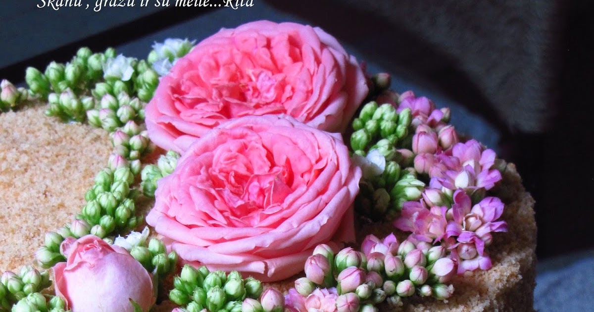 Ritos receptai : Svajonių Medutis