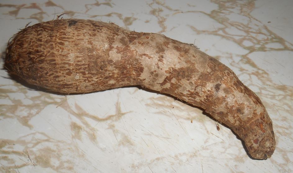 Dark Thoughts: Recipe: Malanga Root Mash