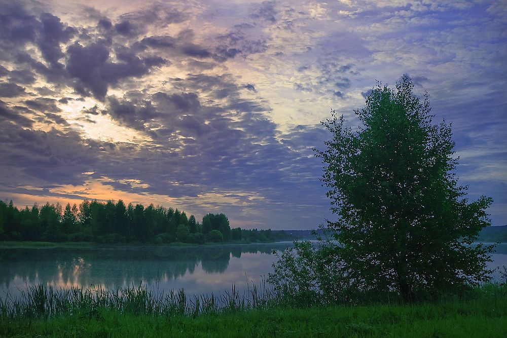 Soothing Peace Of Mind Nature Pictures Peace Of Mind Pictures
