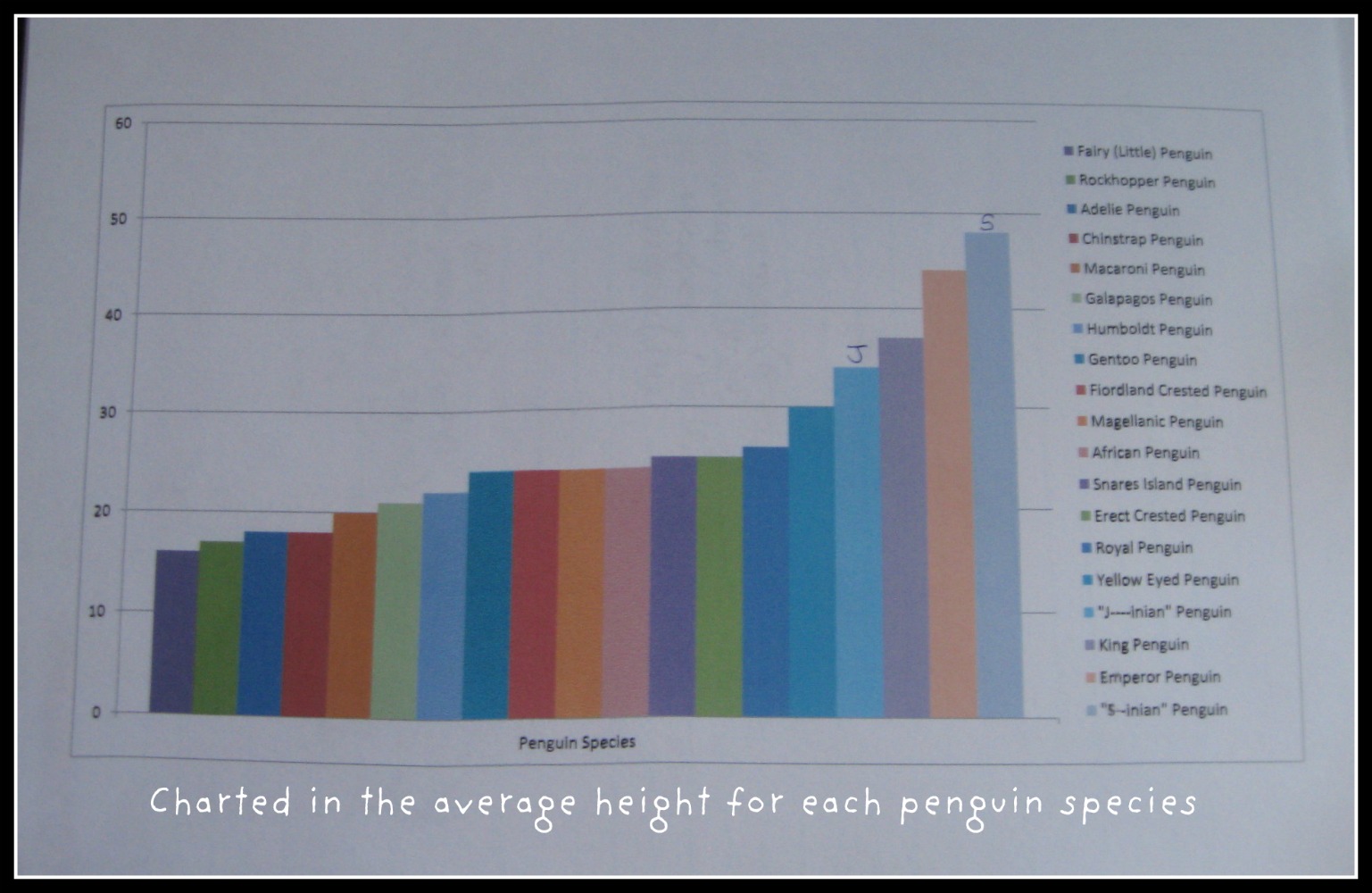 Farm Fresh Adventures: Pp is for Penguin