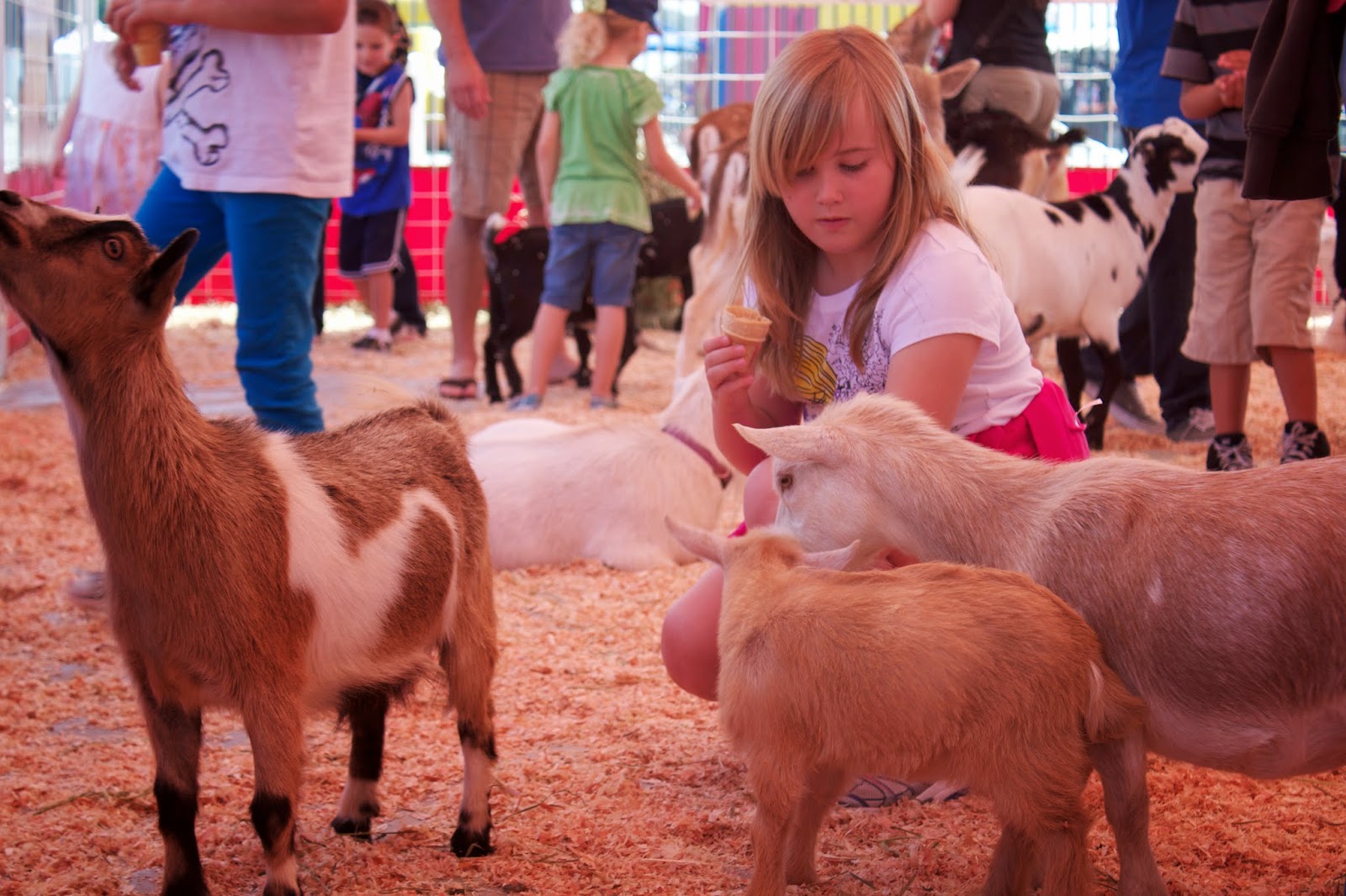 Rivera Media and Public Relations