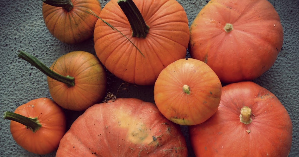 Quantrell Quips: Early Pumpkin Harvest
