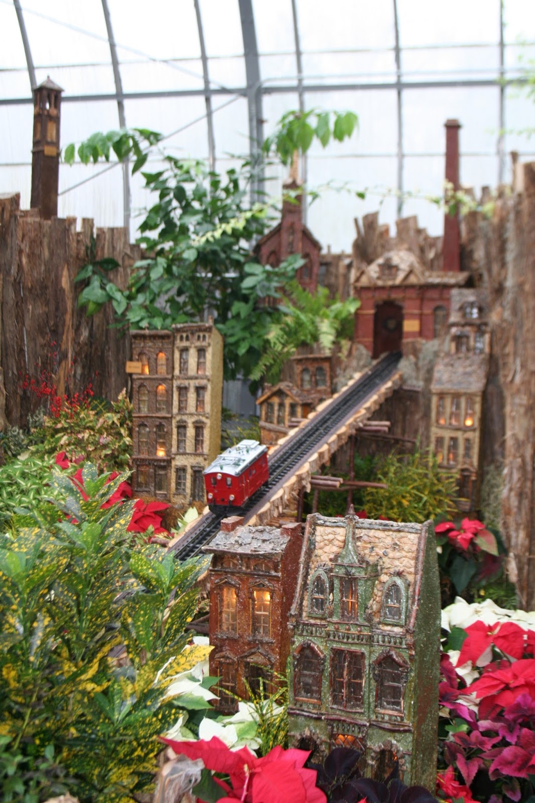 Cincinnati: Krohn's Conservatory Christmas Display - Explore This City