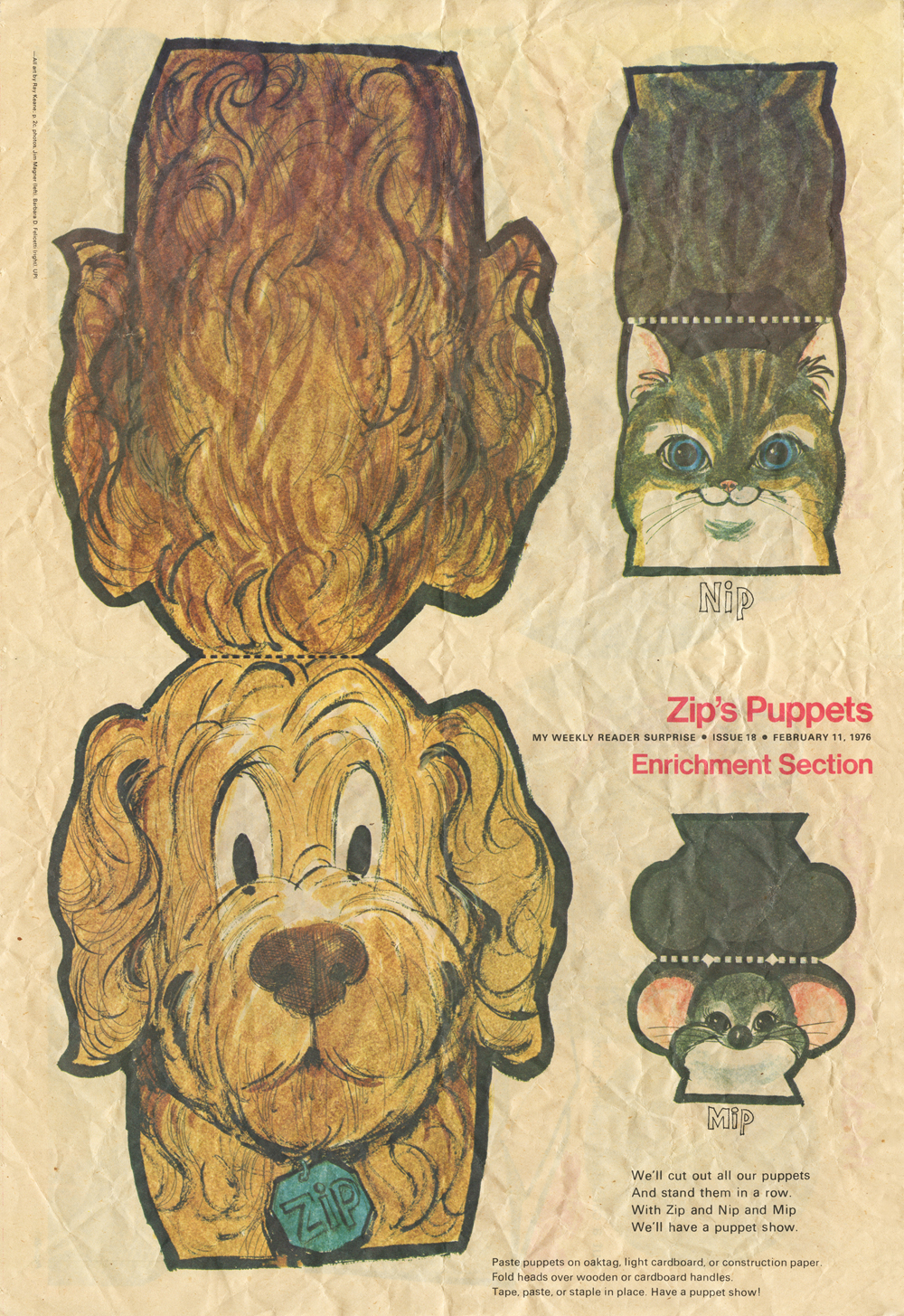 Neato Coolville: ZIP THE DOG FROM MY WEEKLY READER SURPRISE