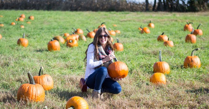 My 10 Favorite Fall Traditions - Chasing Cinderella