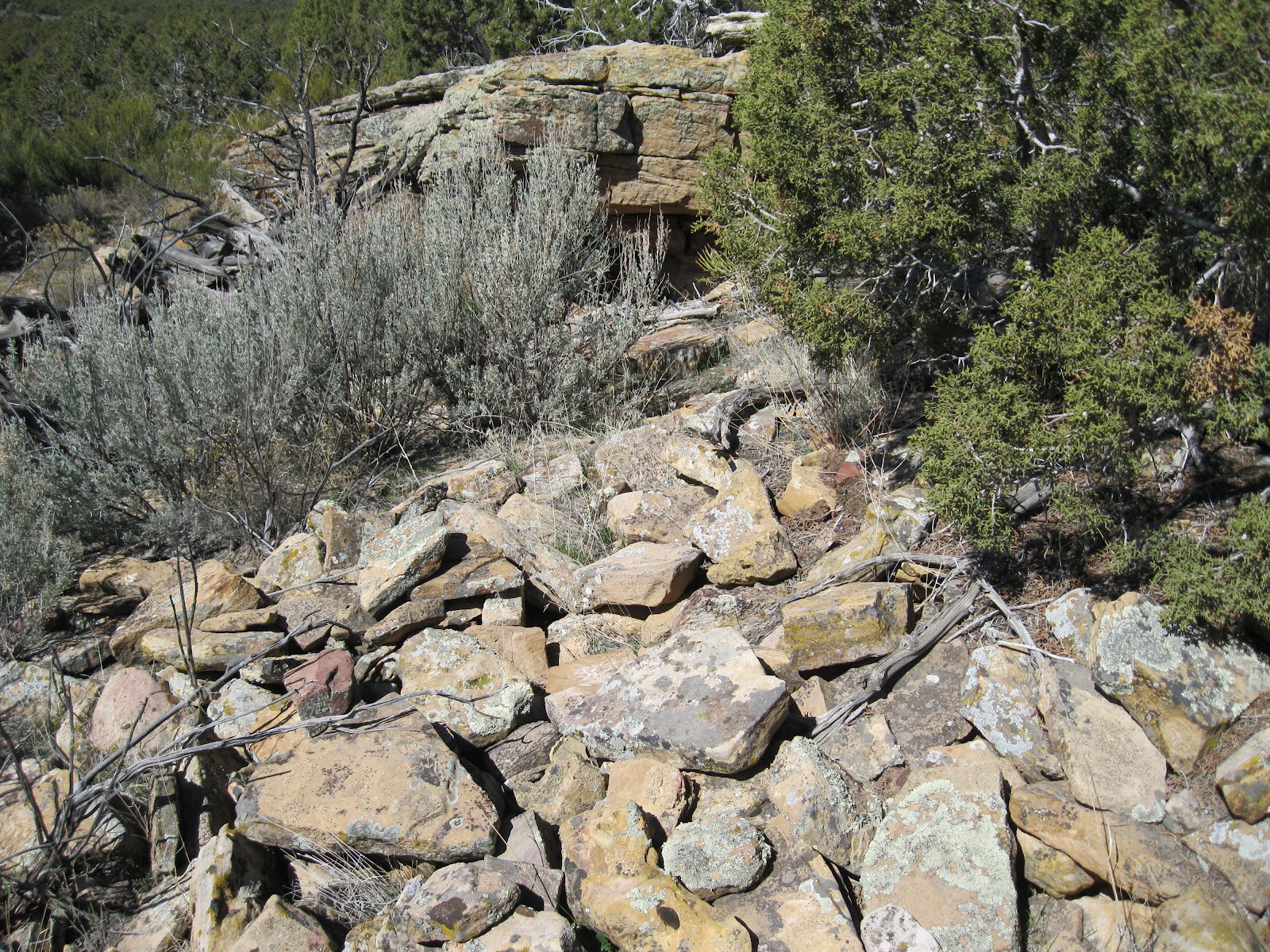 Four Corners Hikes-Canyons of the Ancients: Burro Canyon Southeast