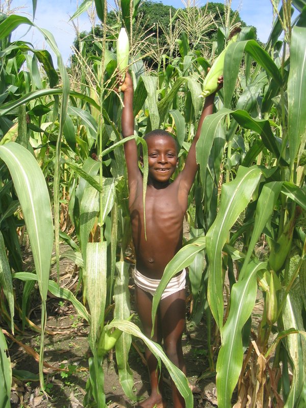 Foot and Pedal Disease: Kenke