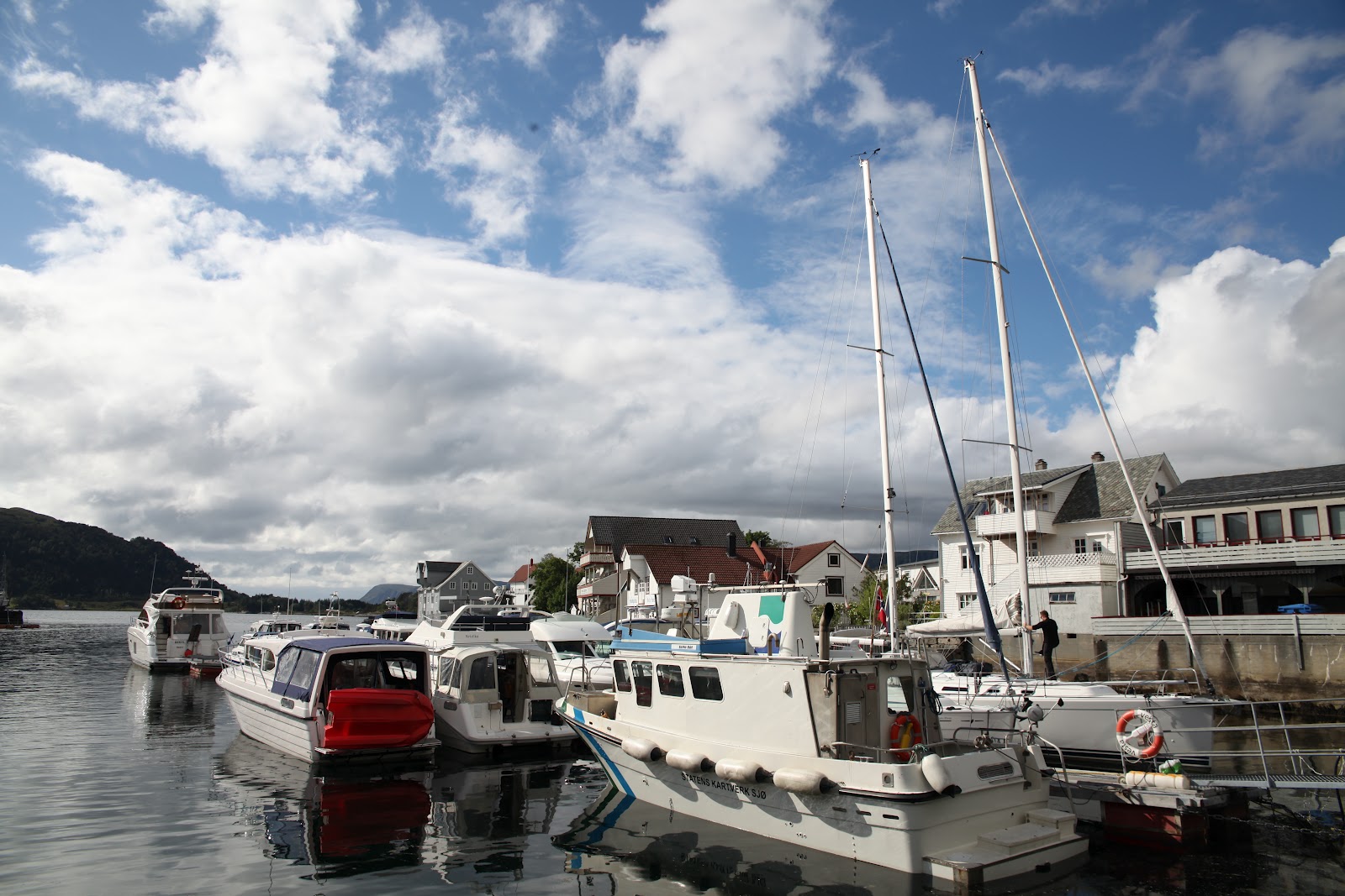 Svalbardliv: Selje og Stadt