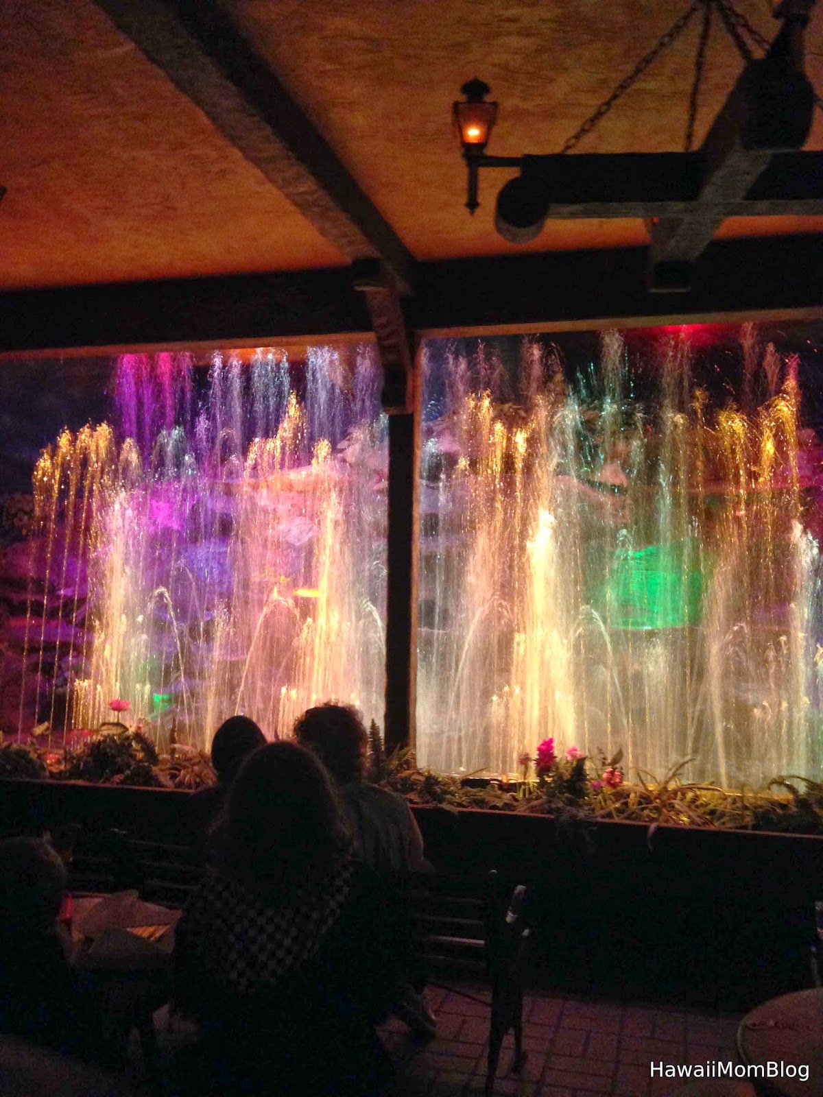 Enchanted Forest Portland