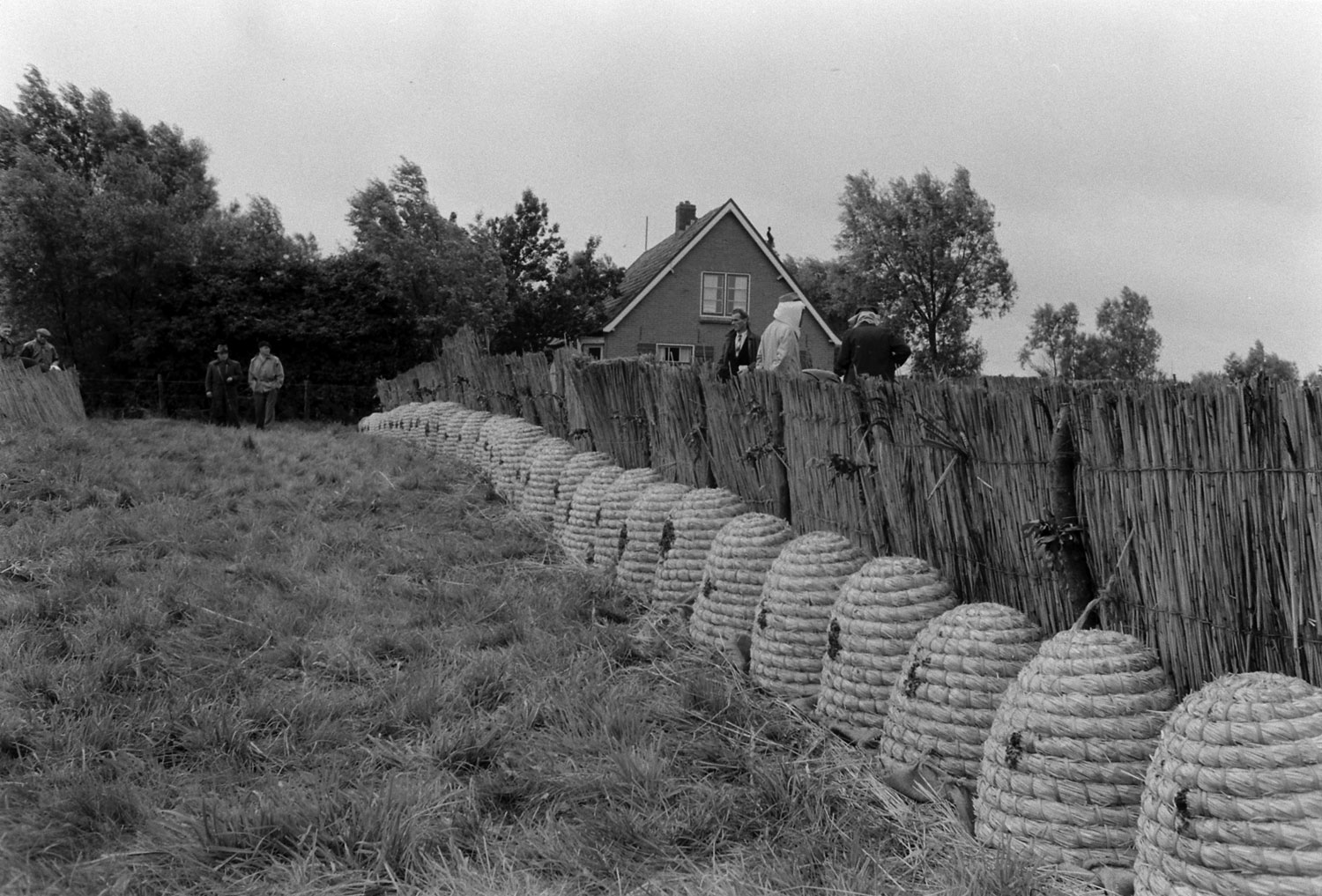 Beekeepers of the 1950s: Vintage Photos From a Busy Bee Market in the ...