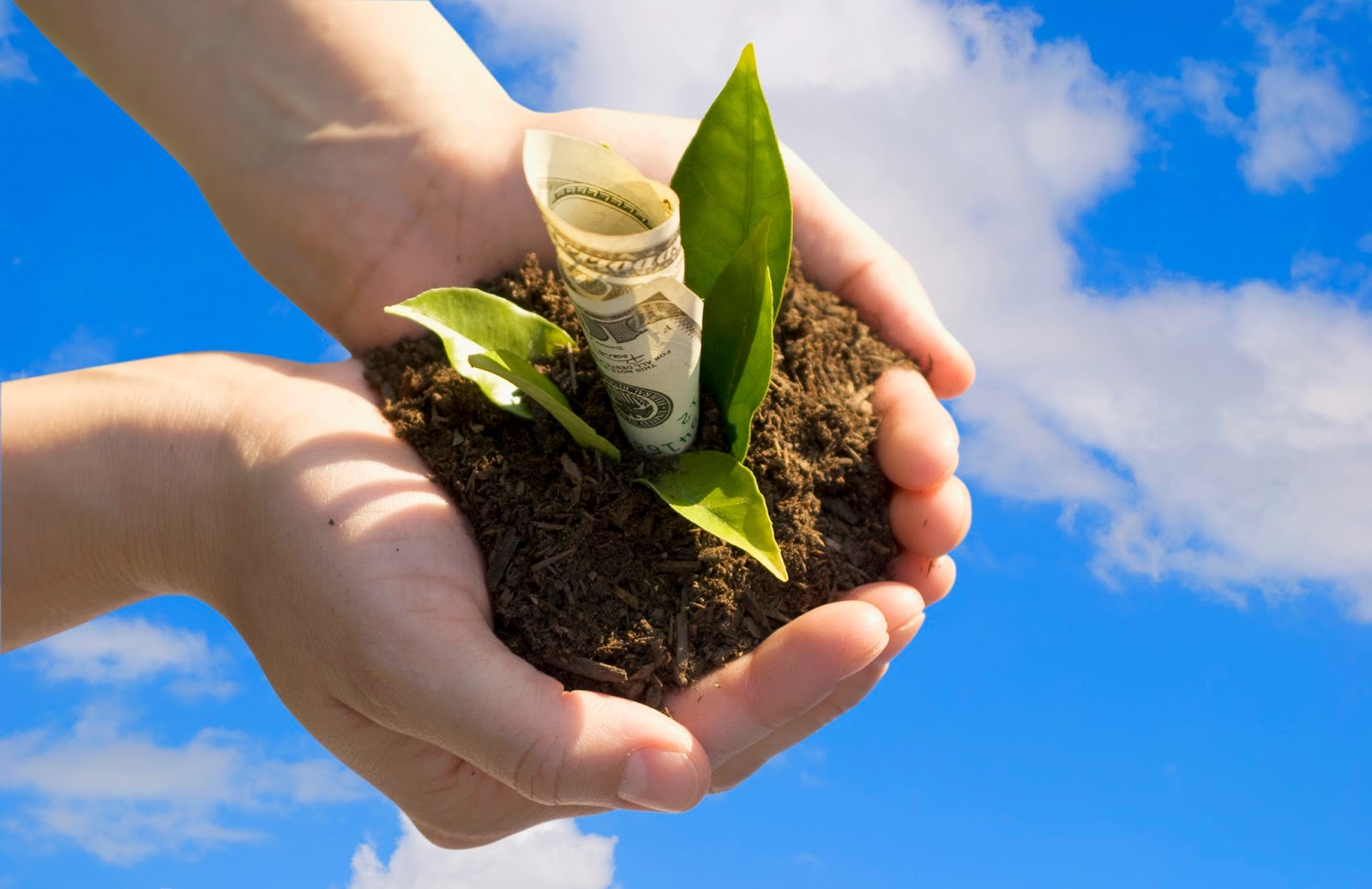 Principios Para Alcanzar La Libertad Financiera