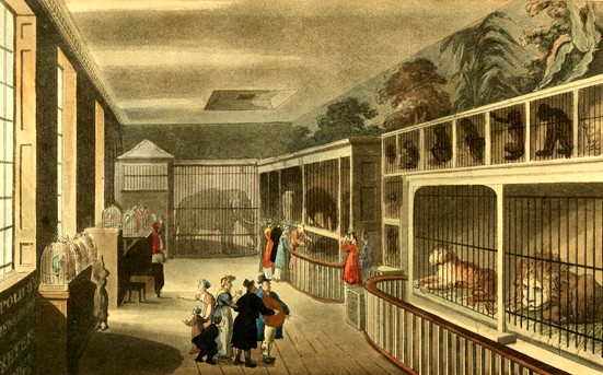 Heroes, Heroines, and History: The History of Zoos