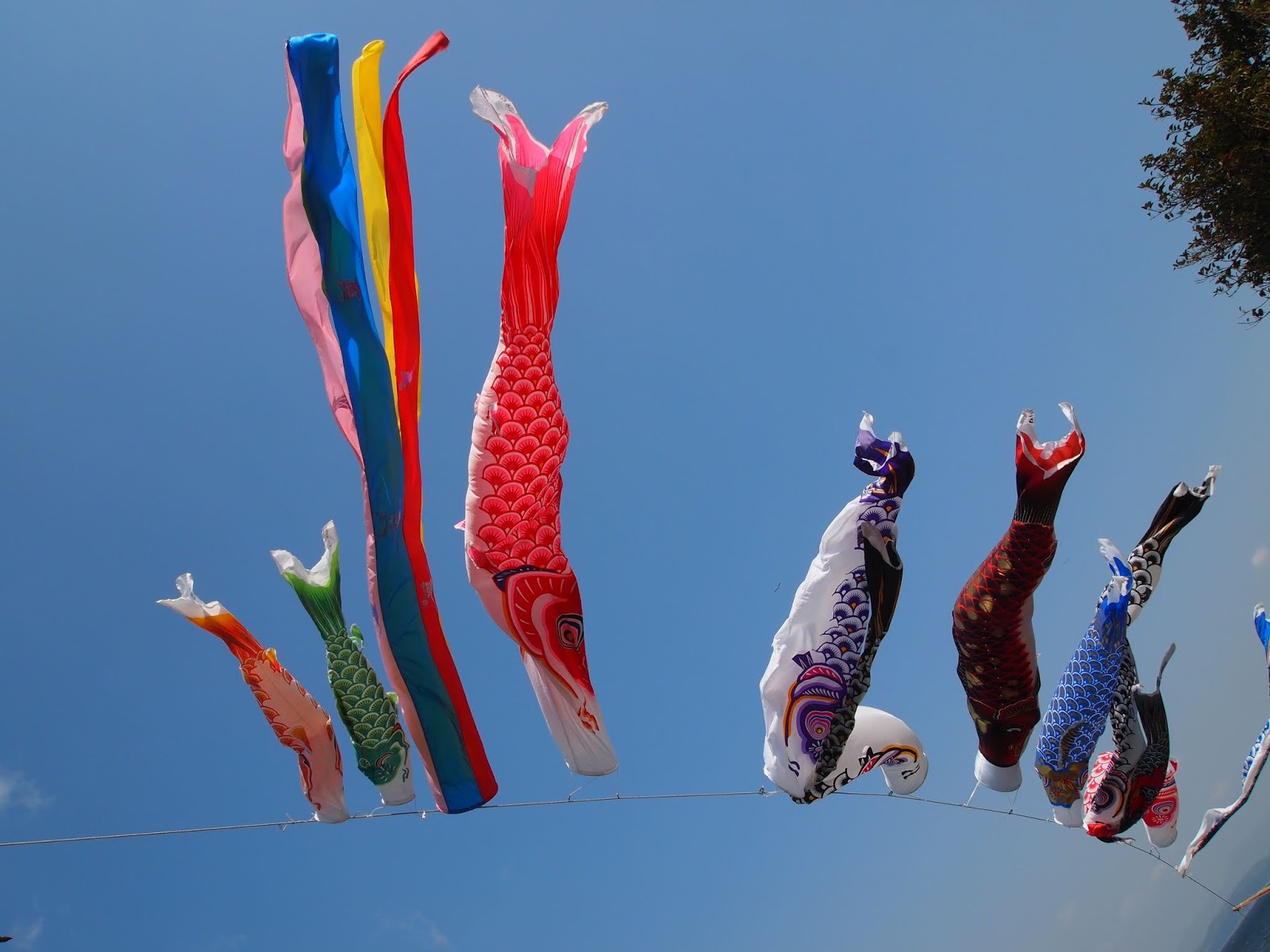 Dream Tours Japan: Flying Carp: Nagasaki and Fukuoka Prefectures