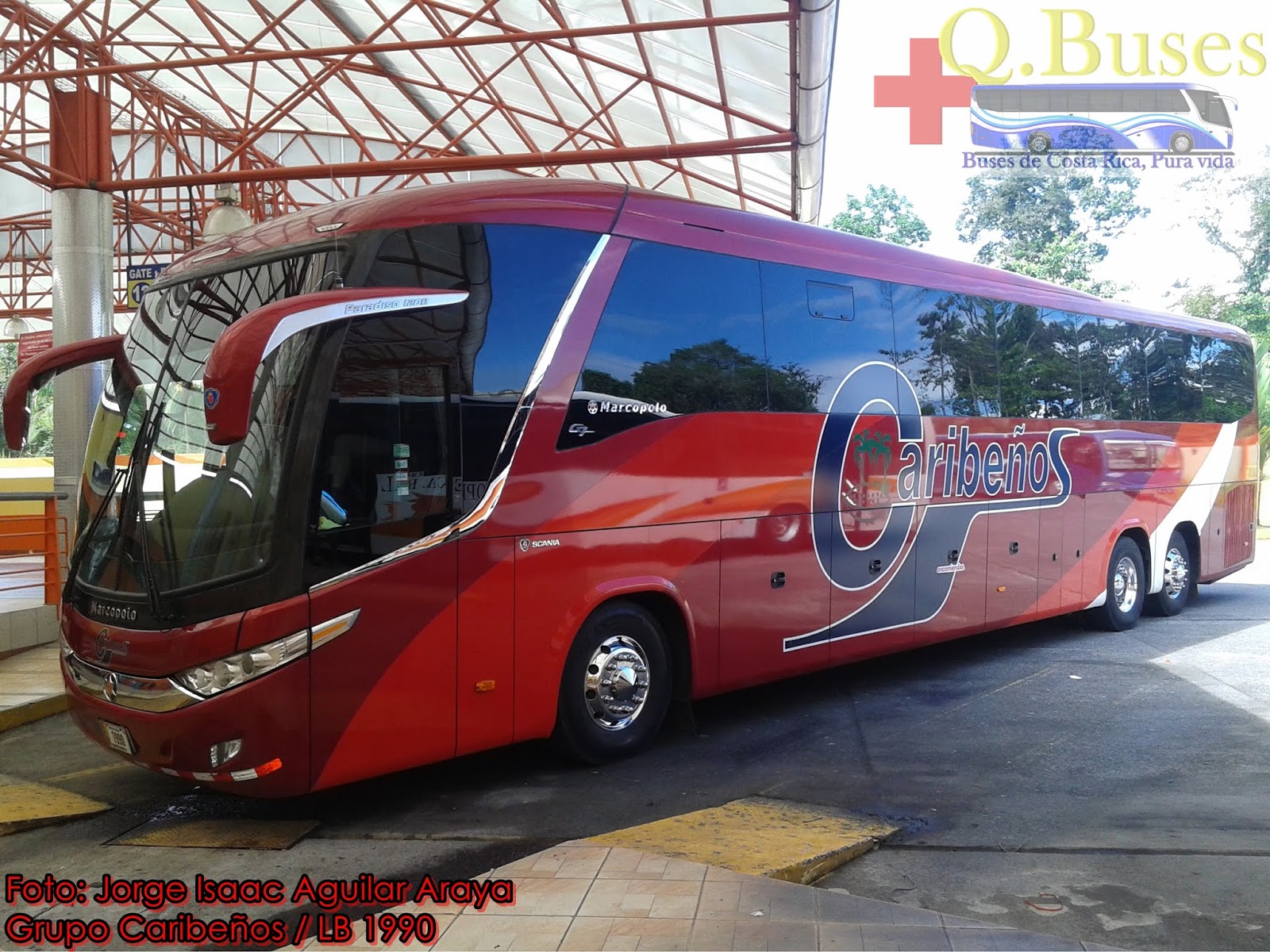 Más que buses: Buses Variados de C.R.