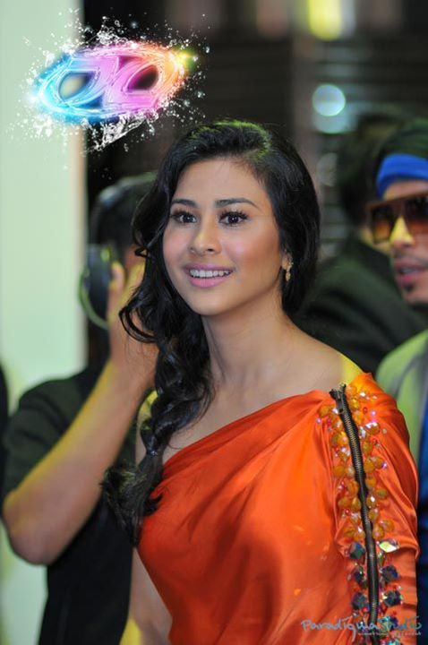 ctnhoney: Gambar Kekasih Fouziah Gous Bergelar Datuk Seri