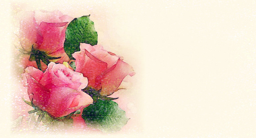 Fancy Rose Frame Backgrounds