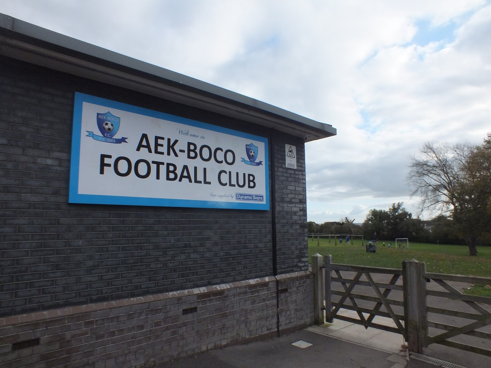 PARTIZAN BRISTLE: #65 Greenbank Road, AEK Boco