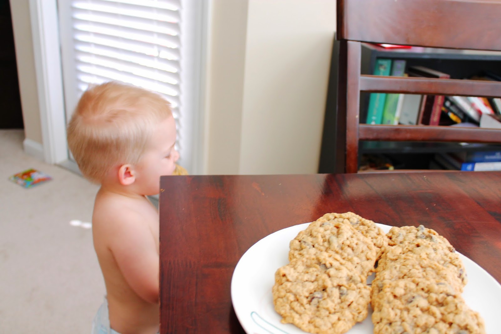 Oatmeal Raisin Cookies