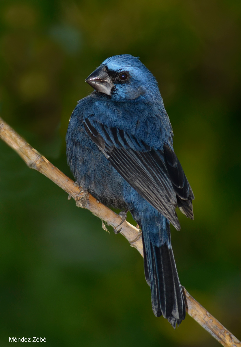 Fotos de Ariel: Reina Mora