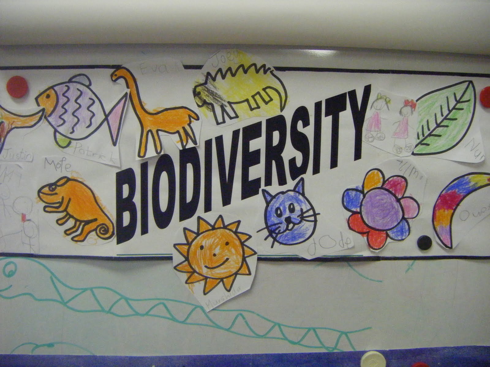 Green School Project: Biodiversity Poster Competition