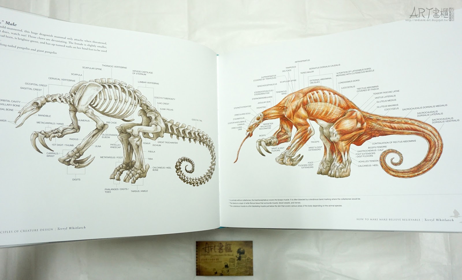 ART書櫃 Book Review: 生物設計原理：創建幻想動物 /Principles of Creature Design ...