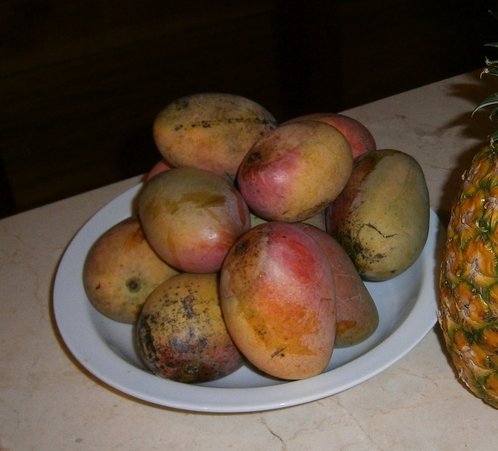 26 Days in Panama: Day 7—Gorgona Fish Market and Mangoes