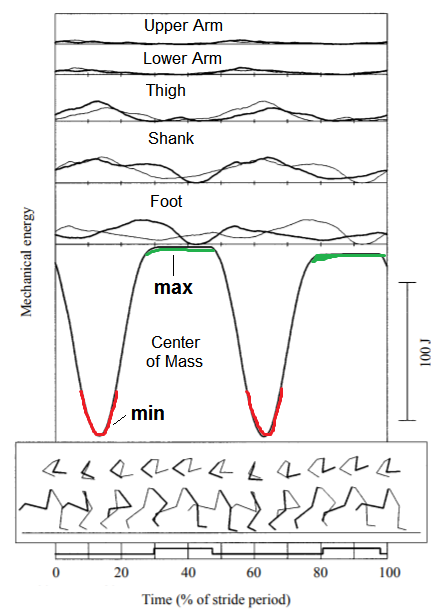 Ron George: The Physics of Running Power