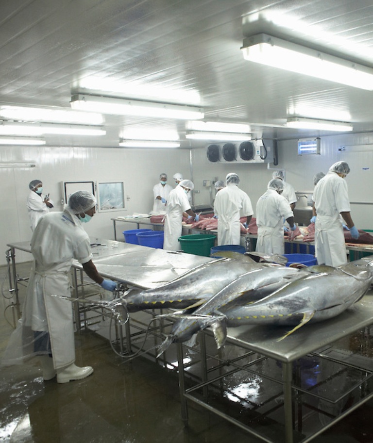 Skipjack Tuna Loin, Tuna Loin Nutrition. Tuna Loin Indonesia, Tuna Loin ...