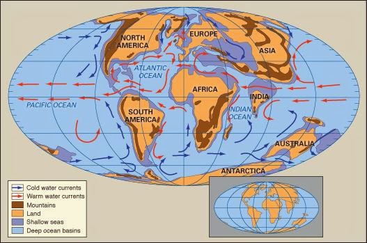 Needstrat: Continental drift